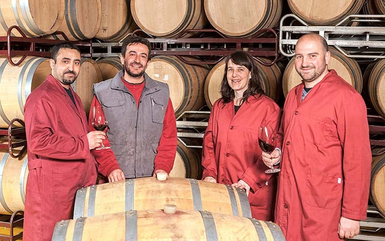 Terra Cellars – Frui